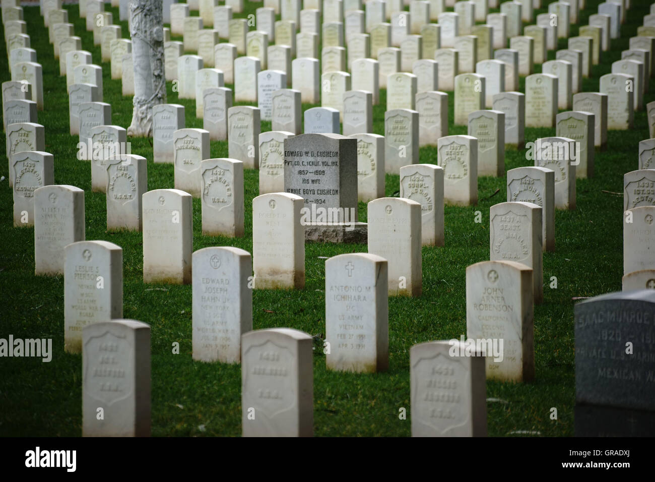 Golden gate national cemetery hi-res stock photography and images - Alamy