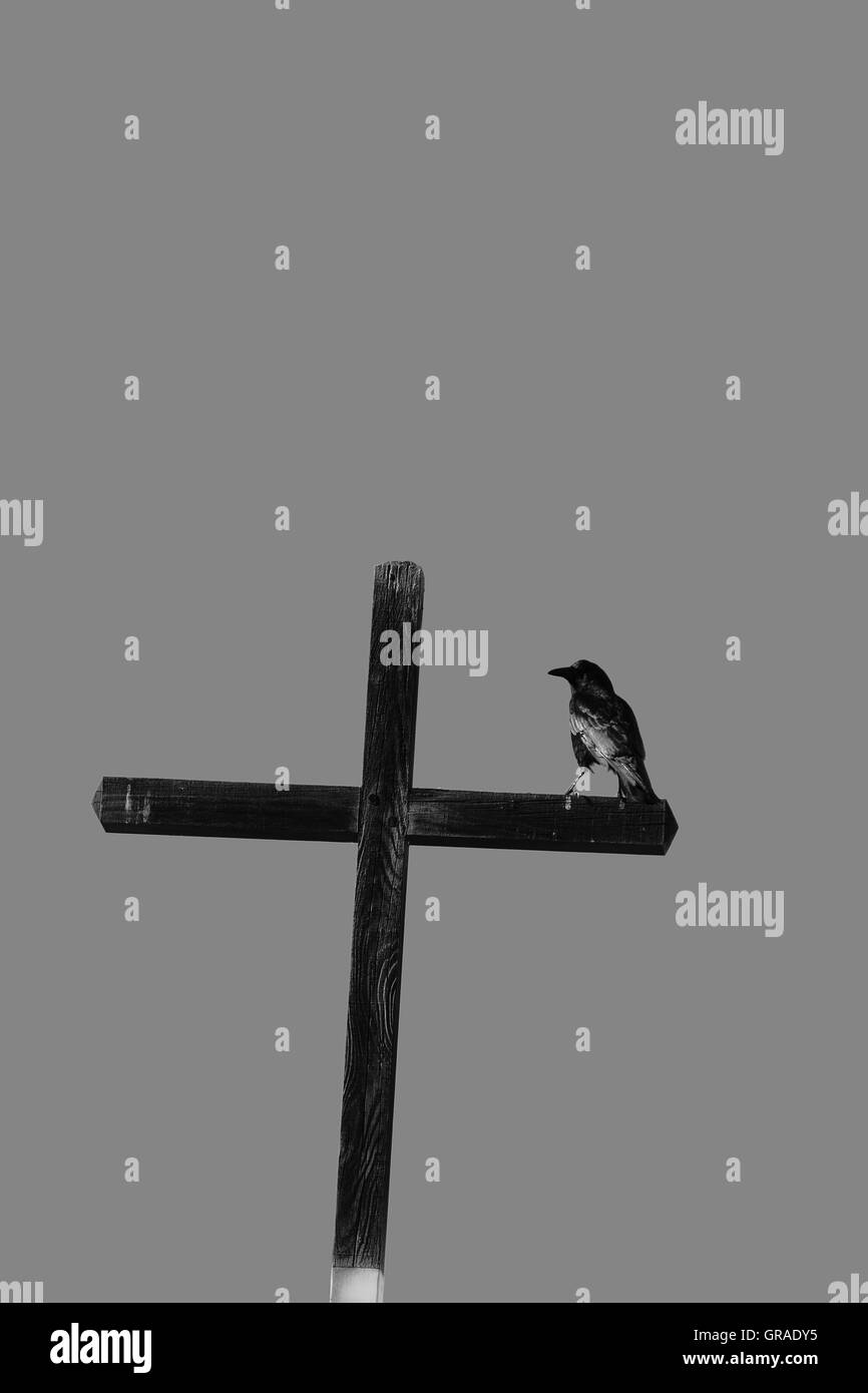 Raven Sitting On Cross Stock Photo - Alamy