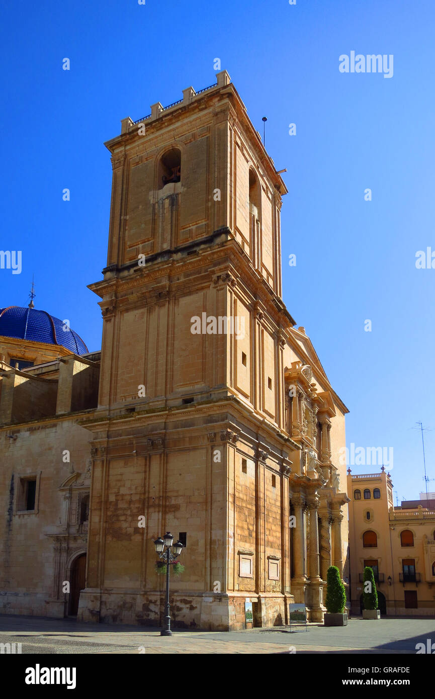 Elche hi-res stock photography and images - Alamy