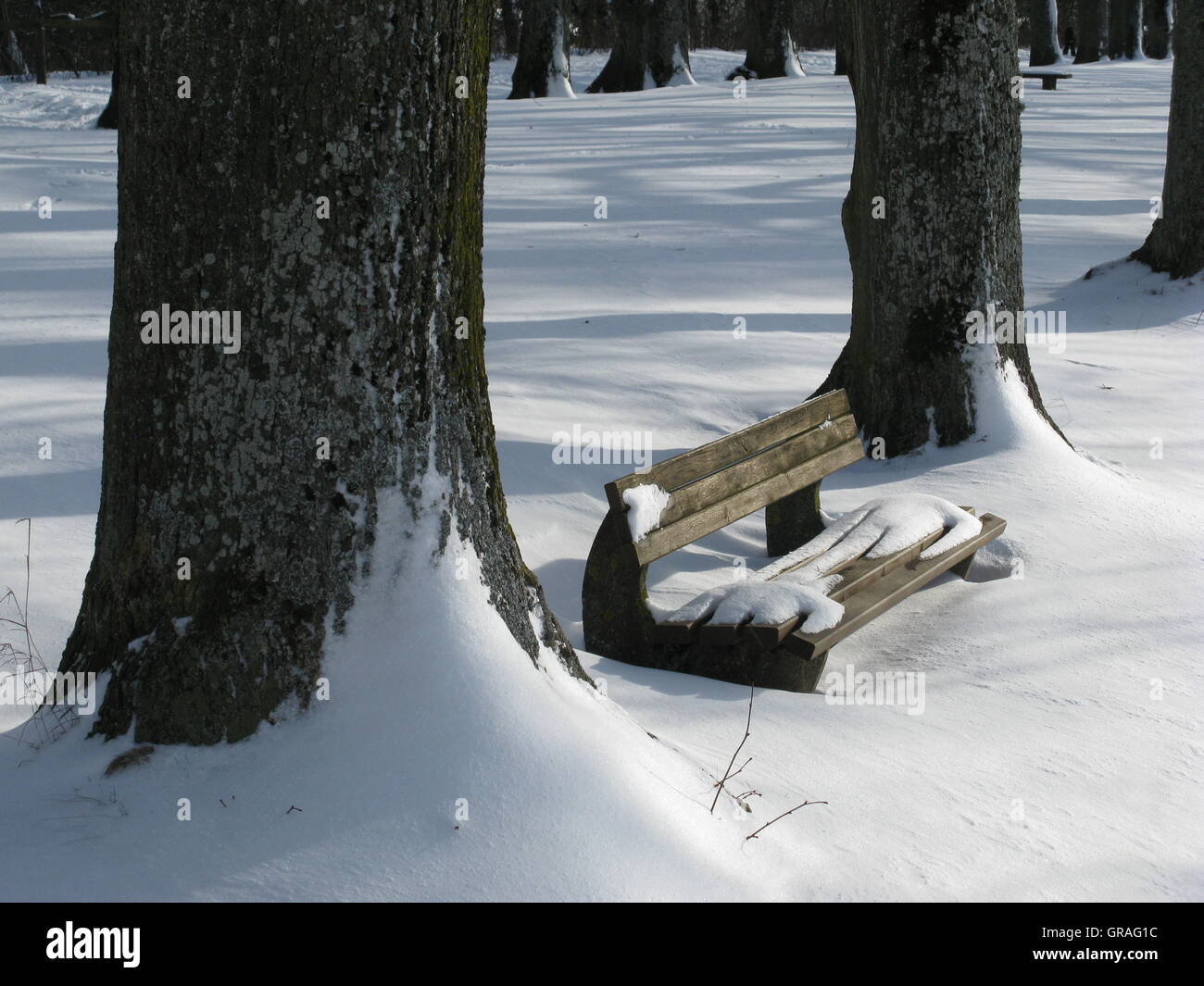 Bank In Winter Stock Photo - Alamy