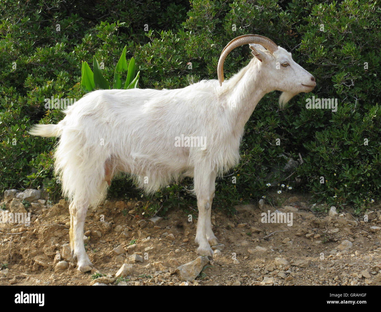 Rhodes farm hi-res stock photography and images - Alamy