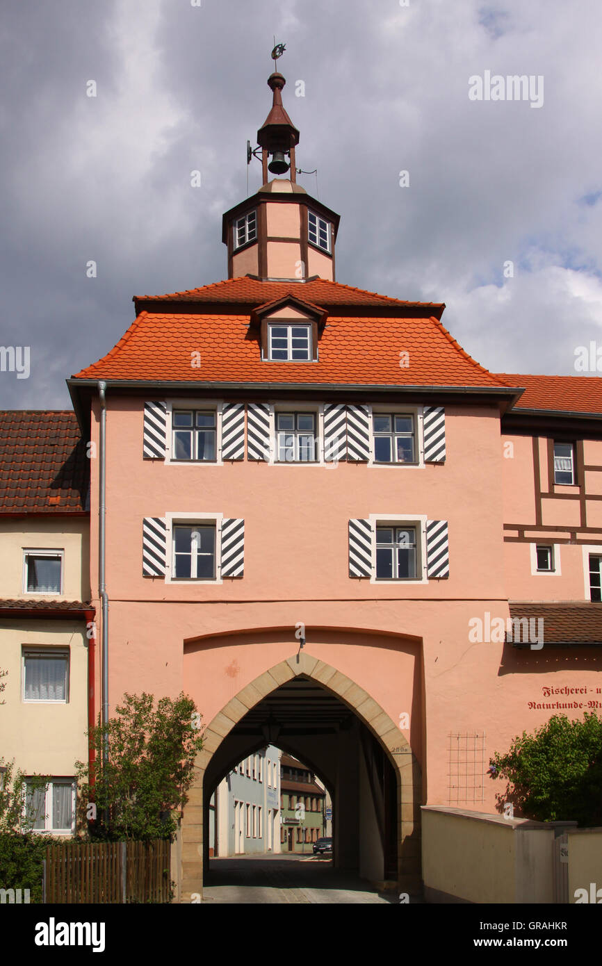 Wassertrudingen hi-res stock photography and images - Alamy