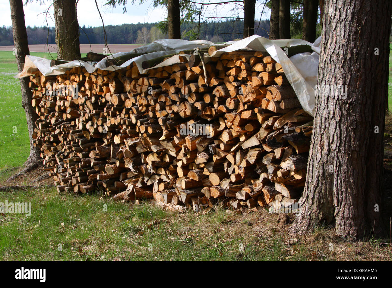 Firewood extraction hi-res stock photography and images - Alamy