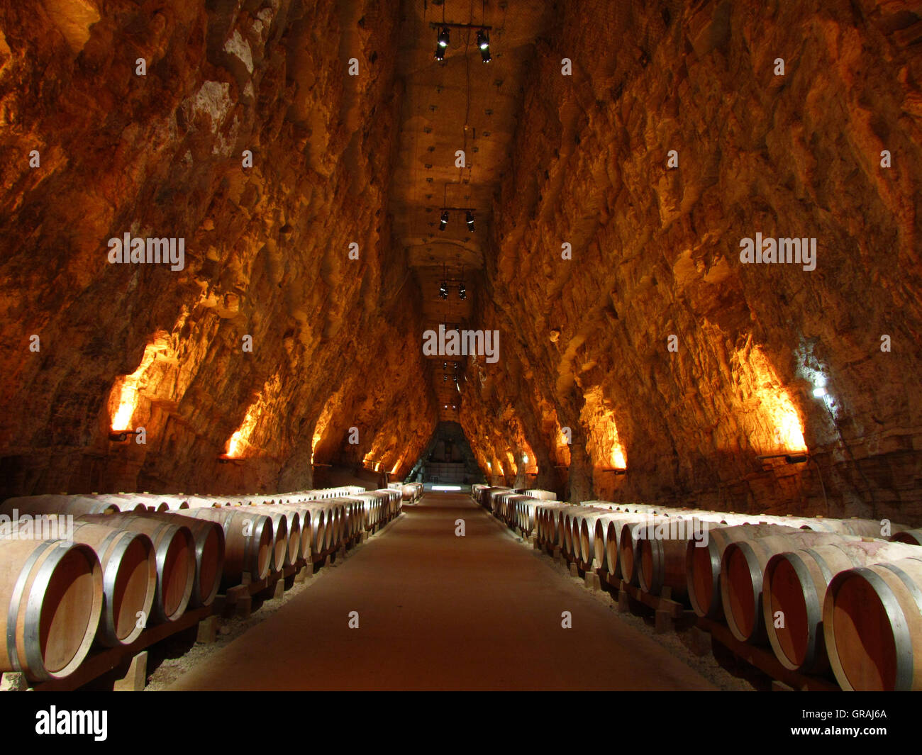 Vinea hi-res stock photography and images - Alamy