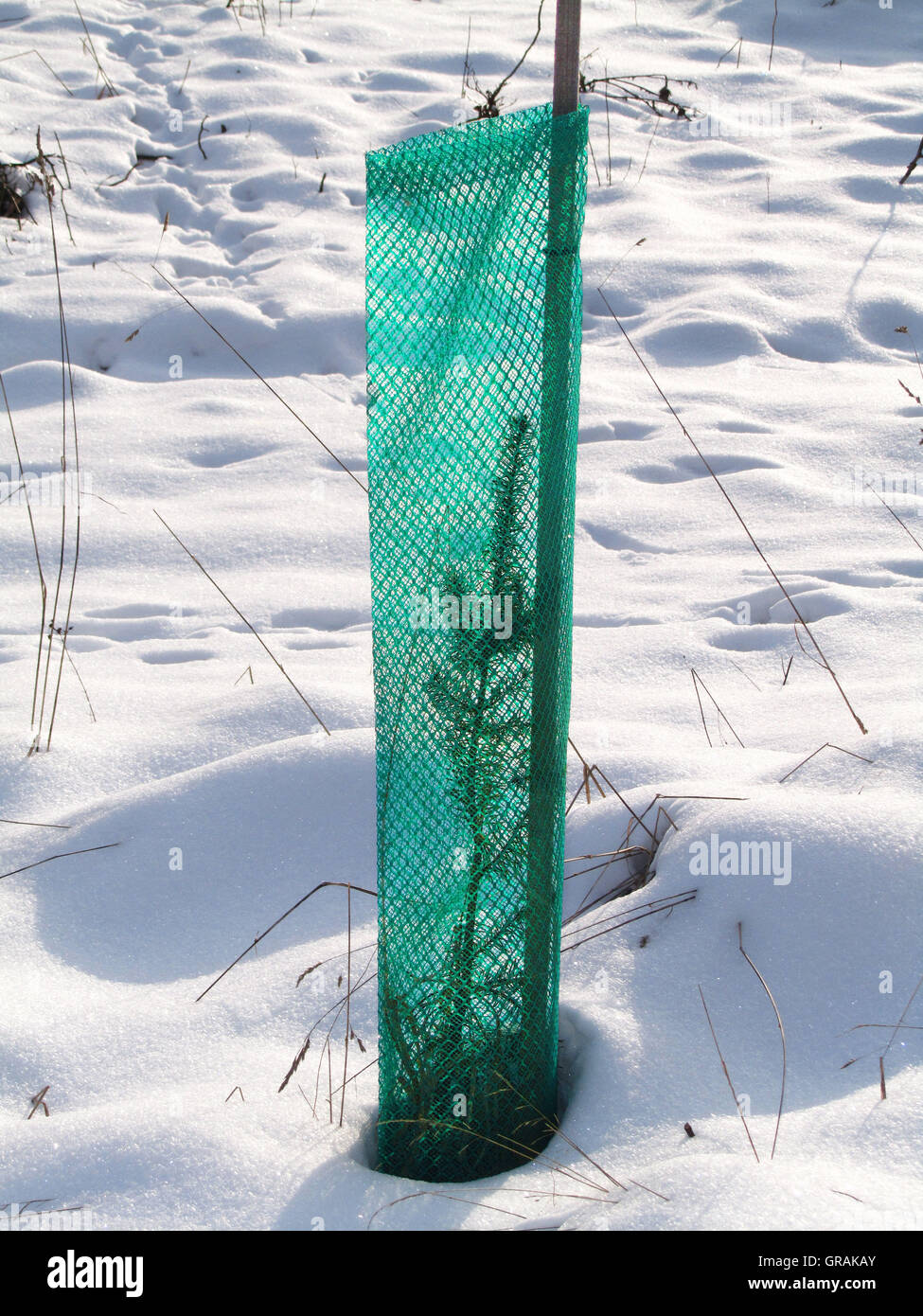 Protection of forests hi-res stock photography and images - Alamy