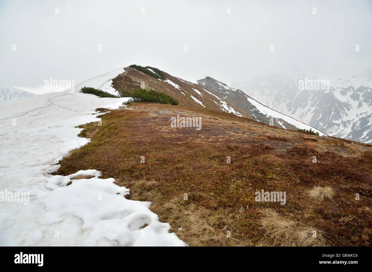 Mist patches hi-res stock photography and images - Alamy