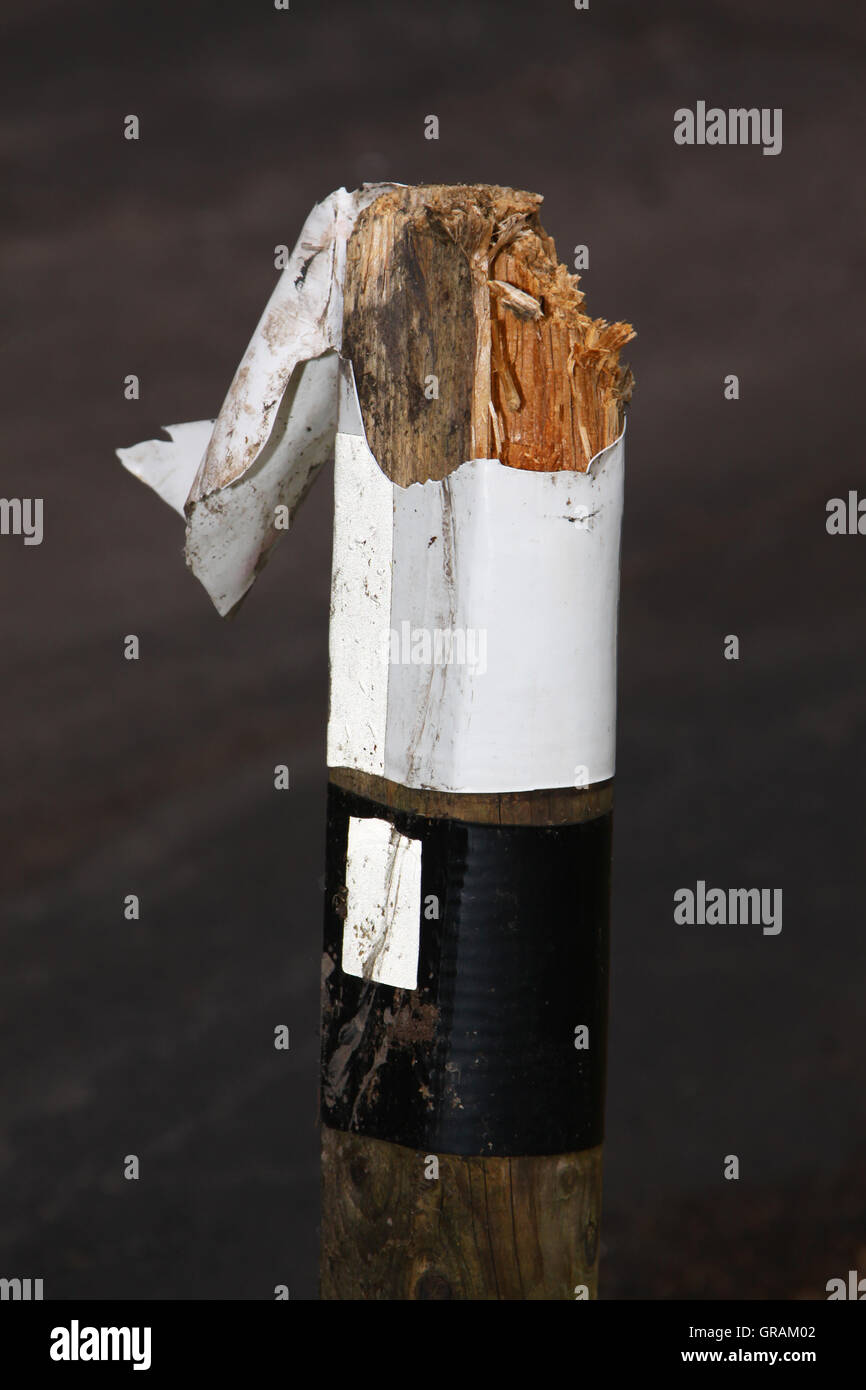 Delineator hi-res stock photography and images - Alamy
