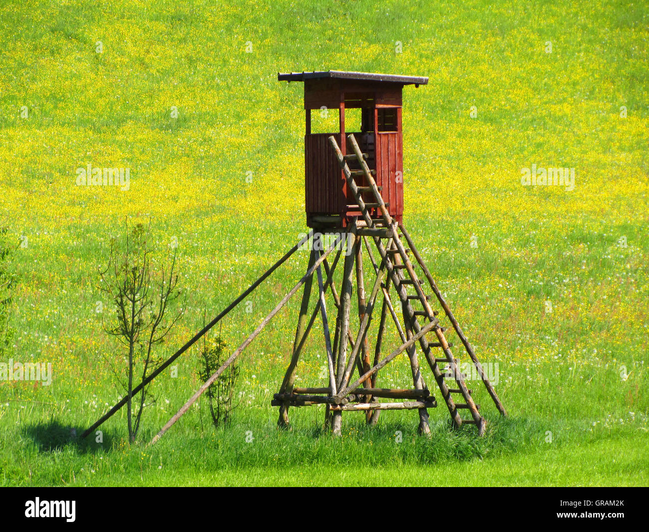 Hunter flowers hi-res stock photography and images - Alamy