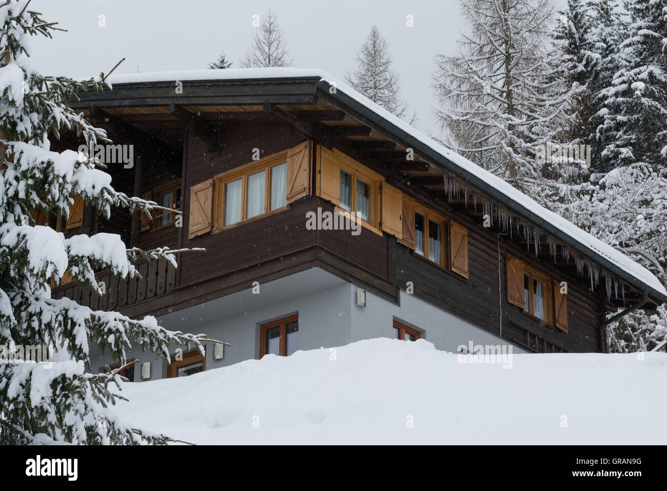Snowy Family House In The Forest Stock Photo - Alamy