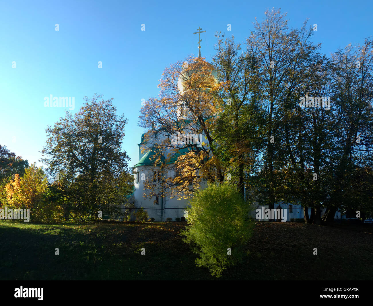 yellow trees on background of Russian Orthodox Church Stock Photo - Alamy
