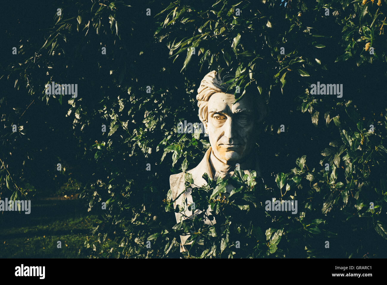 Statue Amidst Trees In Garden Stock Photo - Alamy