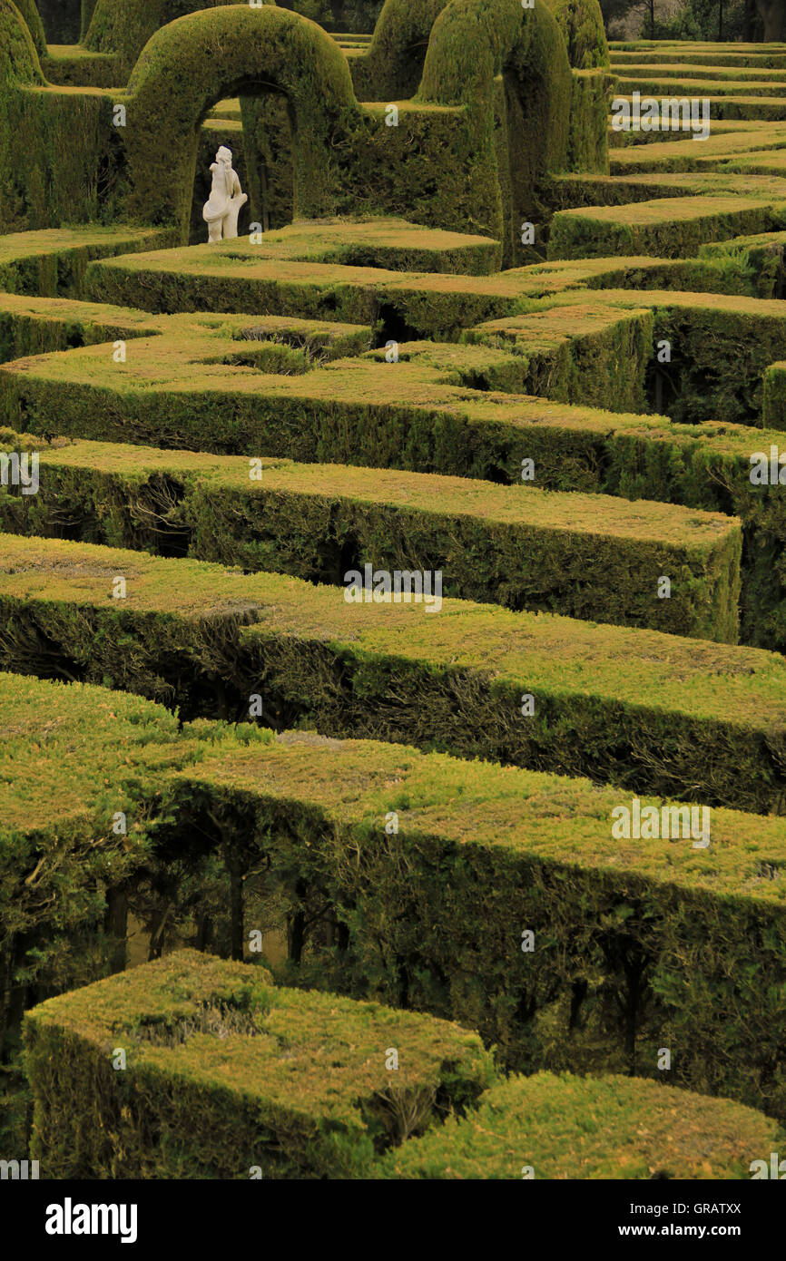 Nature Maze High Resolution Stock Photography and Images - Alamy