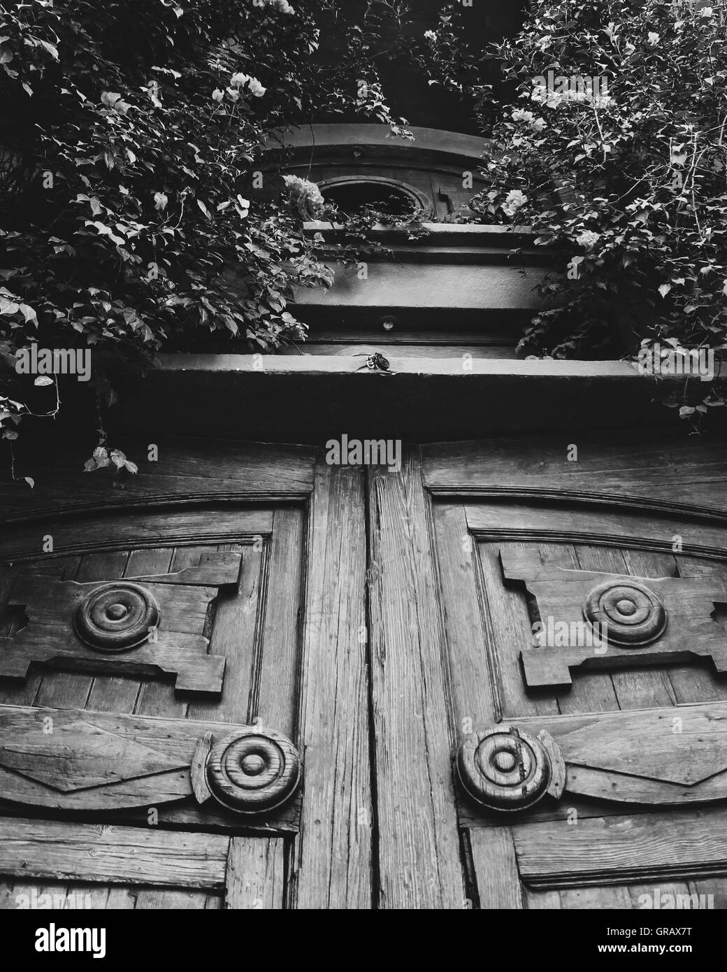 Closed Wooden Door Stock Photo Alamy closed-wooden-door-stock-photo-alamy