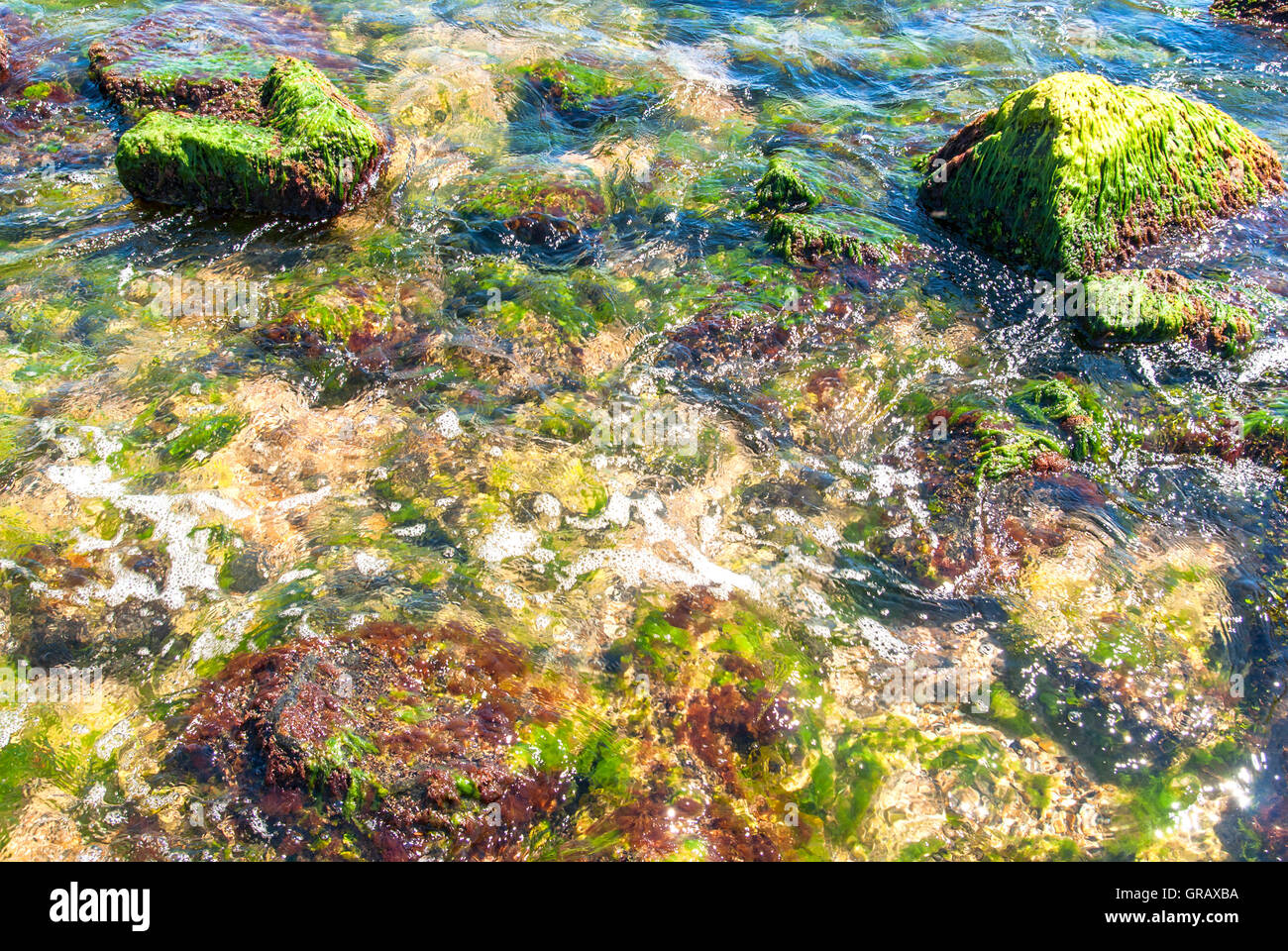 Green Algae Moss Rocks High Resolution Stock Photography and Images - Alamy