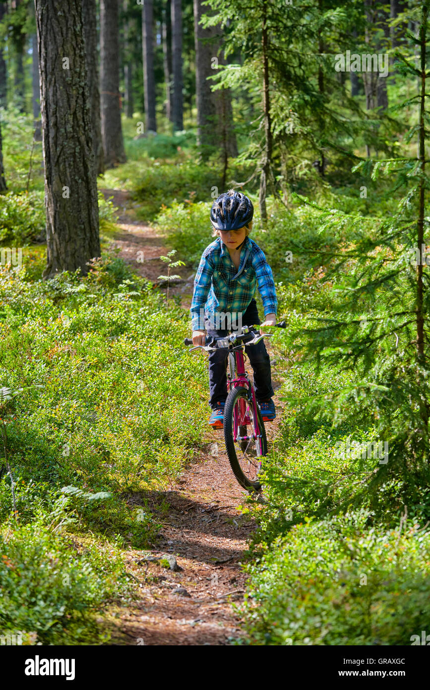 Boy riding bicycle on trail in woods Stock Photo - Alamy