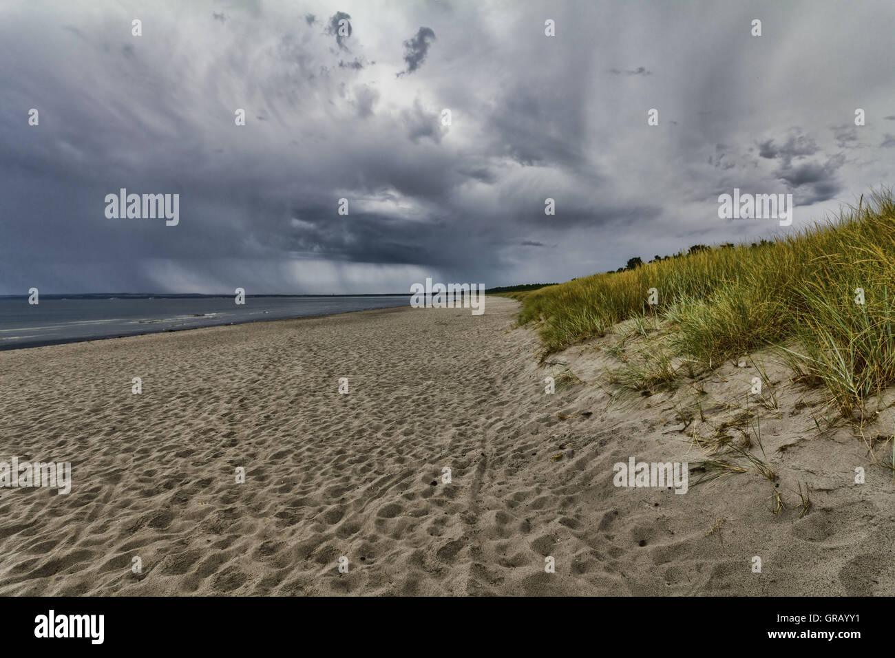 Breeger hi-res stock photography and images - Alamy