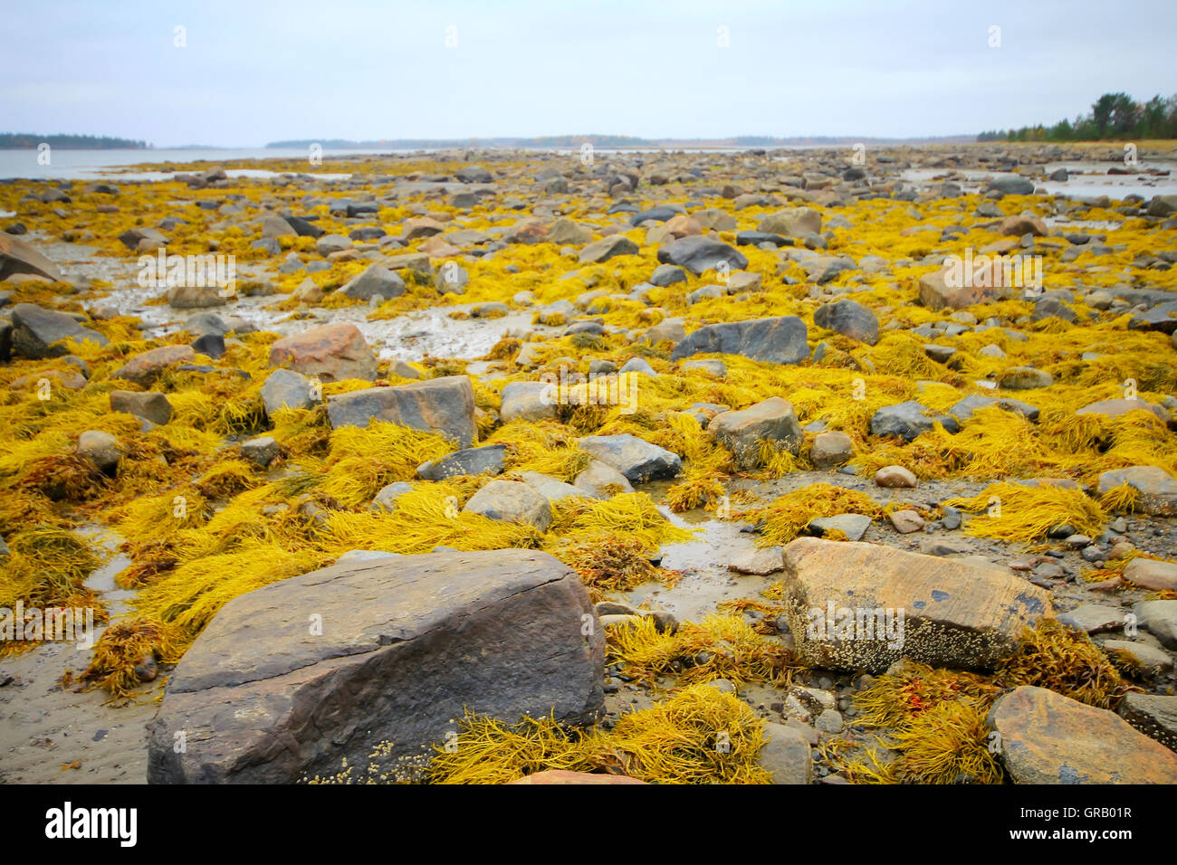 Seaside aesthetics hi-res stock photography and images - Alamy