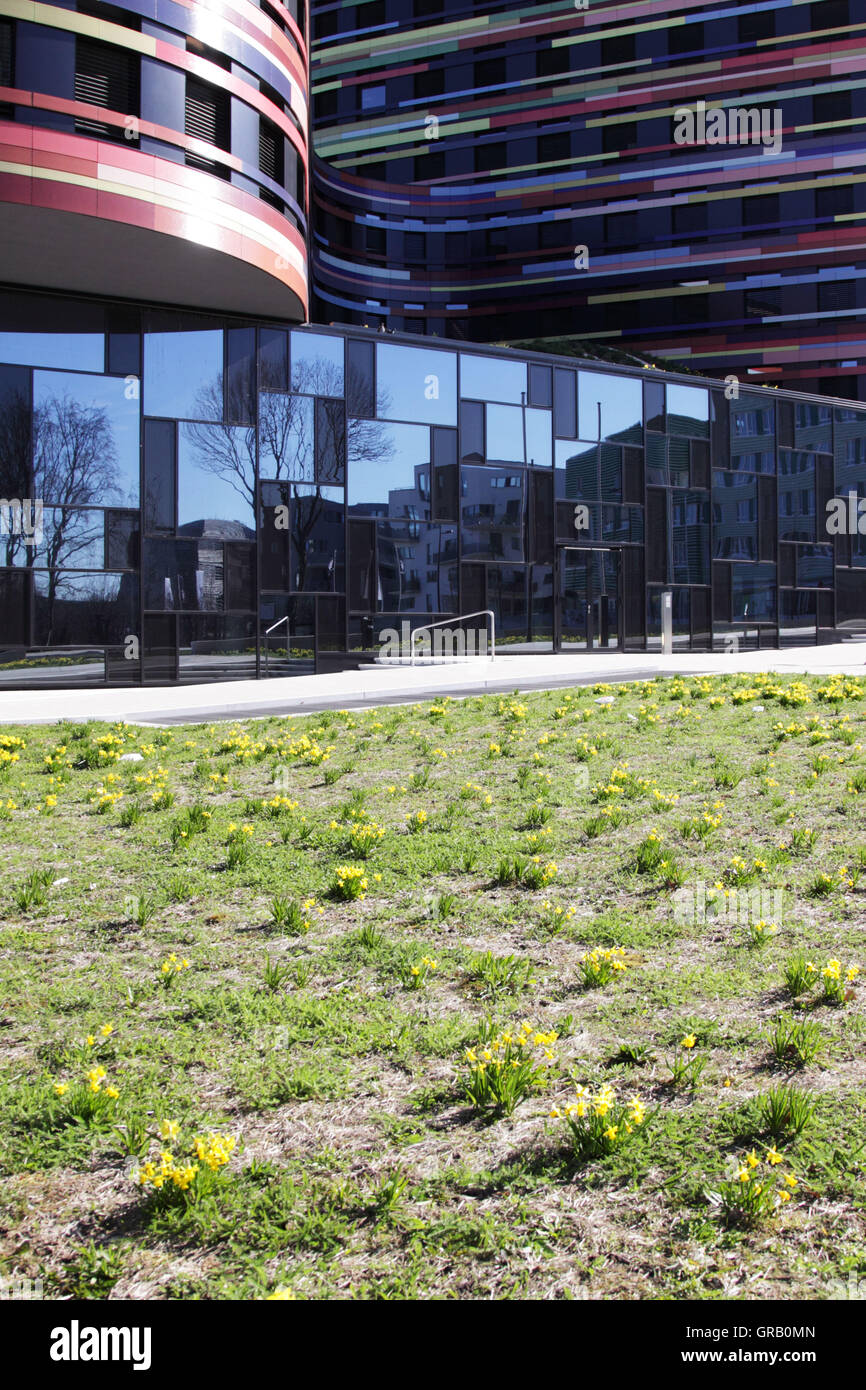 Spring In Hamburg Wilhelmsburg Stock Photo - Alamy