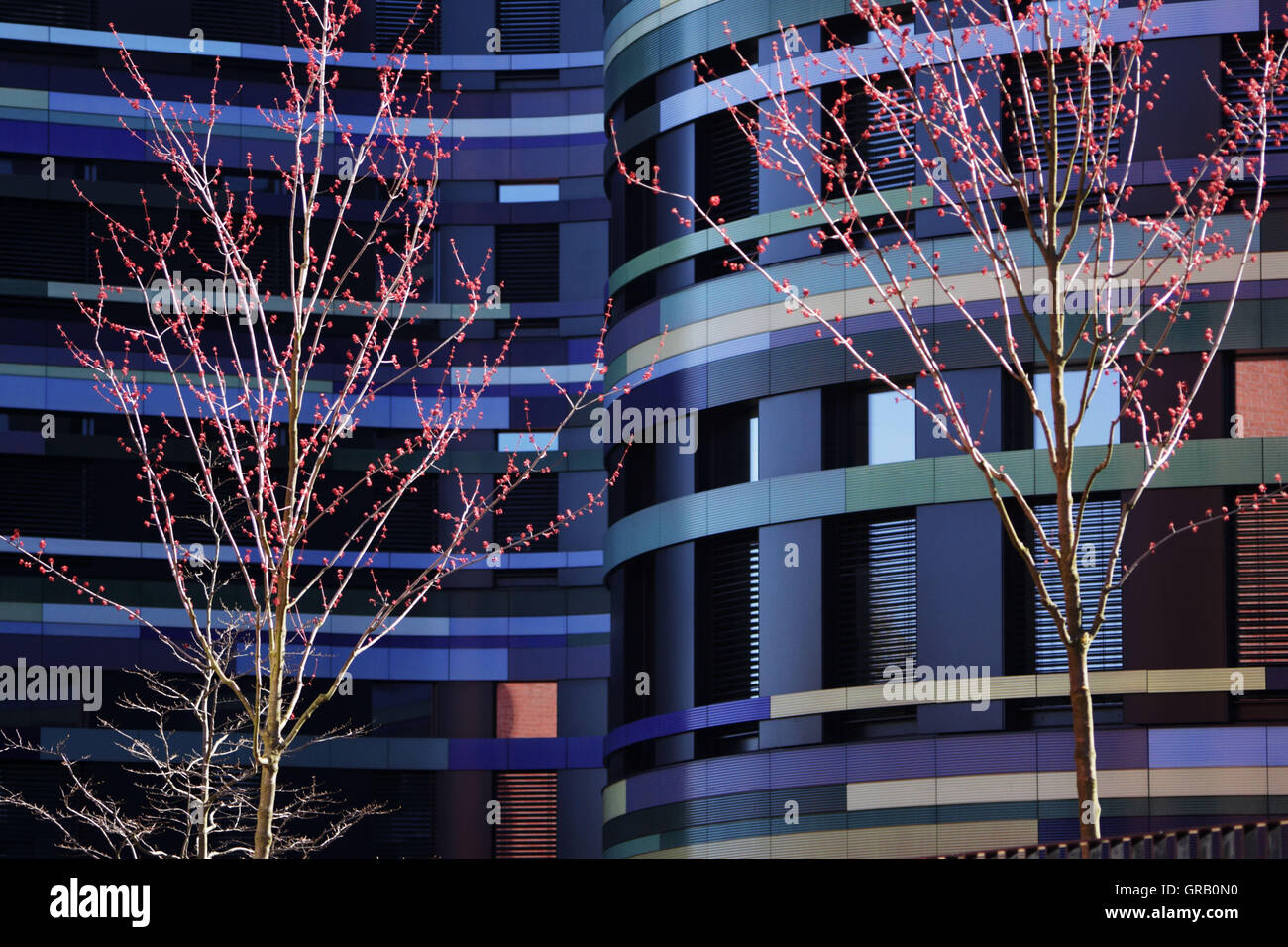 Spring In Hamburg Wilhelmsburg Stock Photo - Alamy