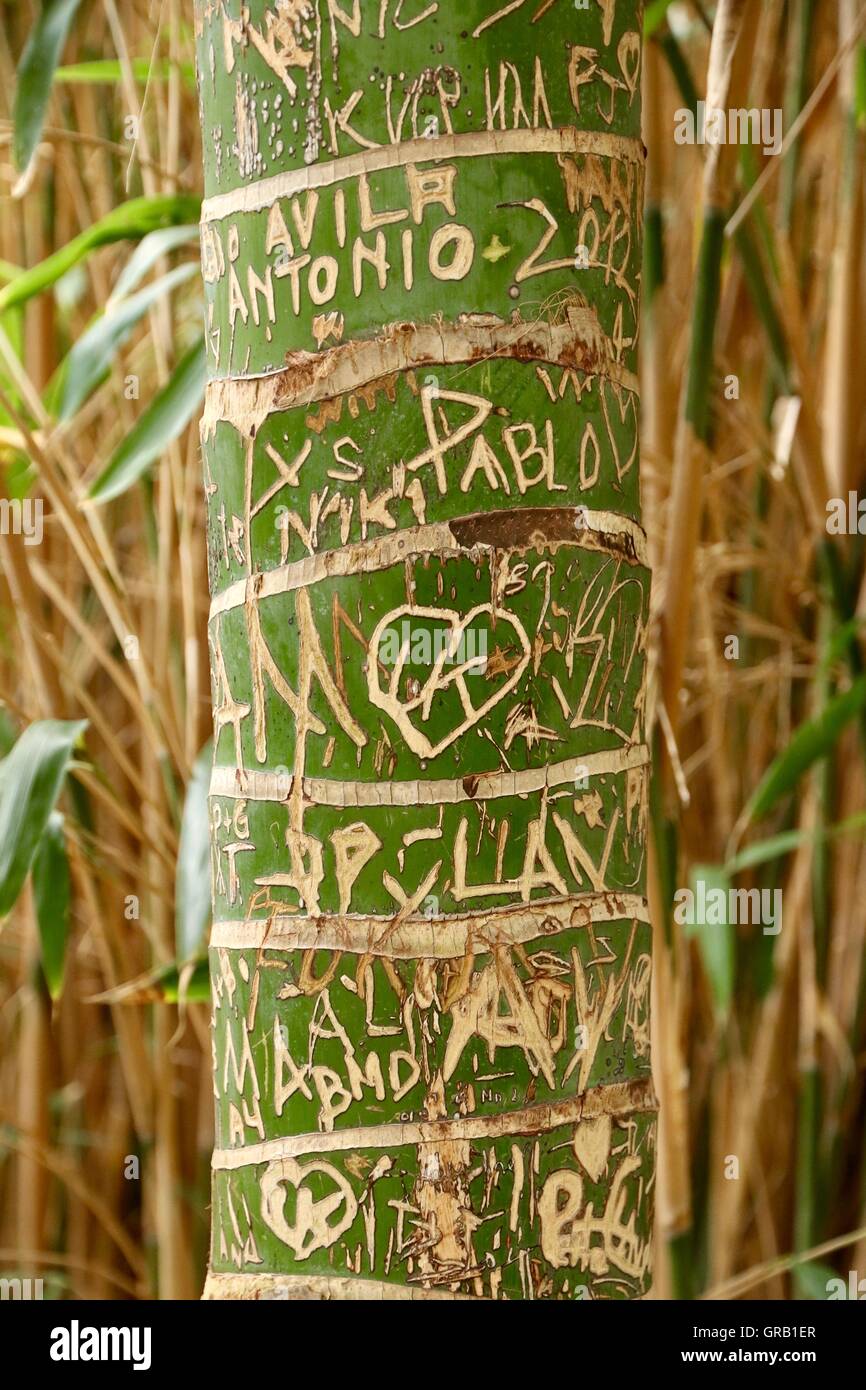 No scribbling hi-res stock photography and images - Alamy