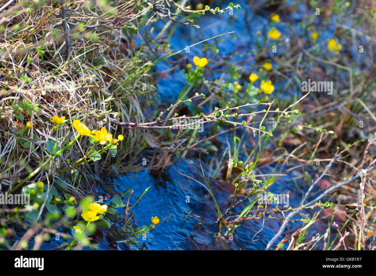 Warmer region hi-res stock photography and images - Alamy