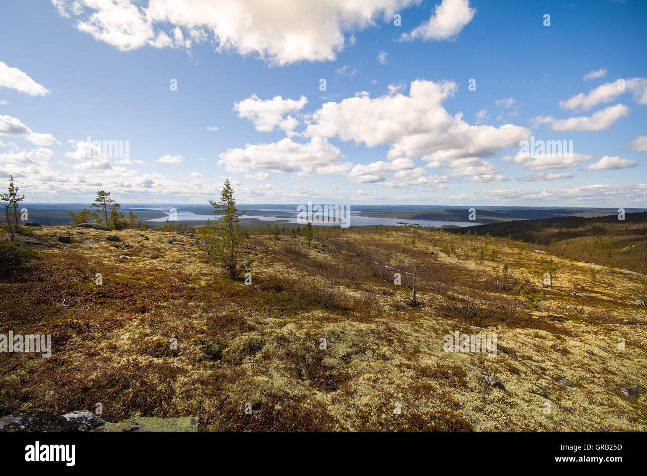 mountain tundra and forest at bottom of wonderful polar landscape Stock ...