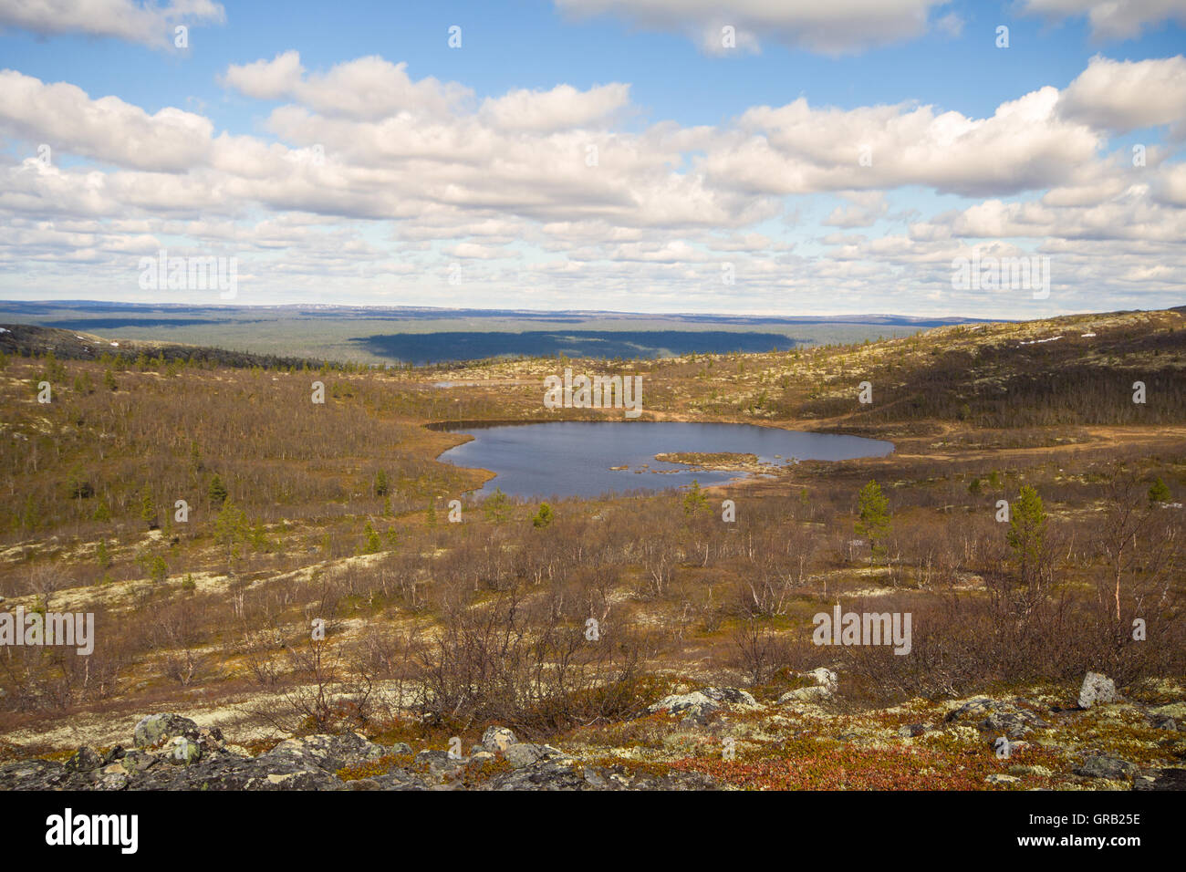 mountain tundra and forest at bottom of wonderful polar landscape Stock ...