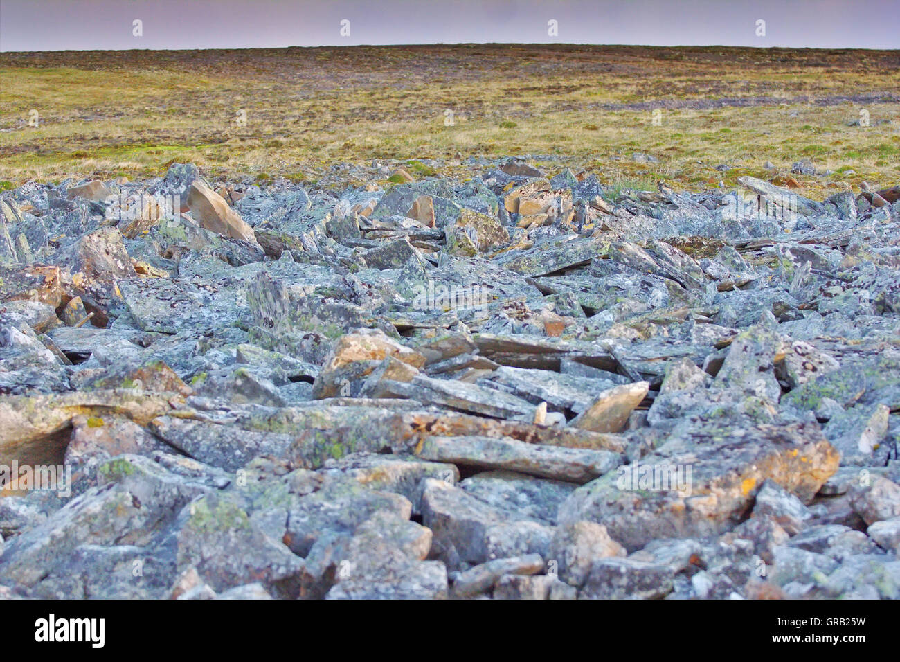 Upright in tundra layered rocks. Novaya Zemlya archipelago, Russian ...