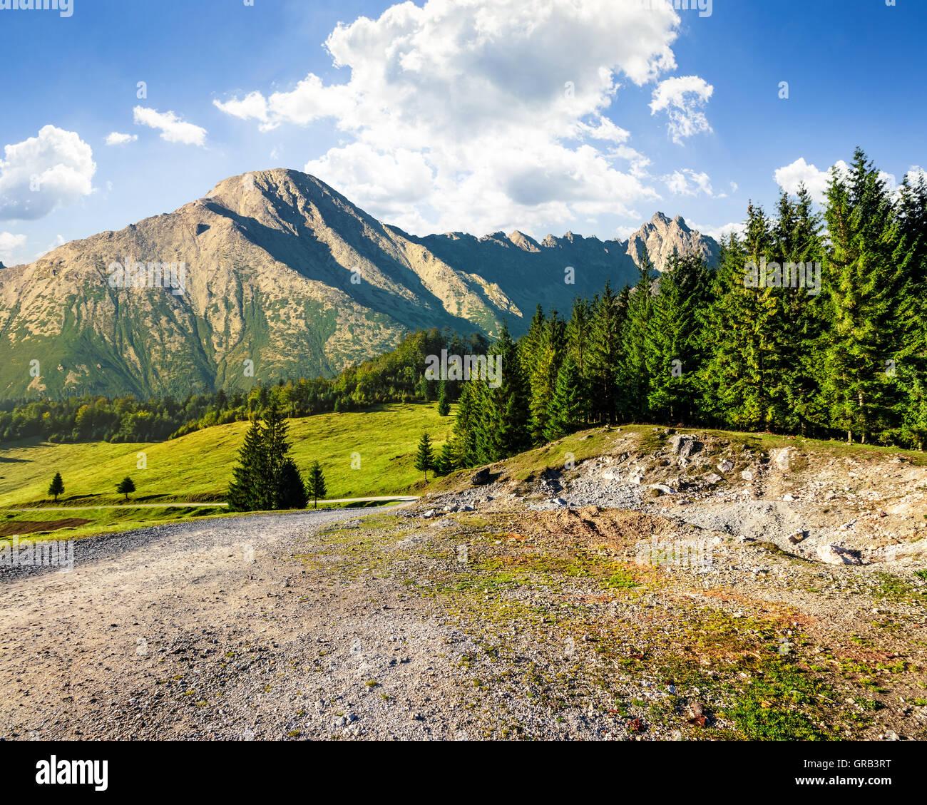 Spruce tree and rocky mountains hi-res stock photography and images - Alamy