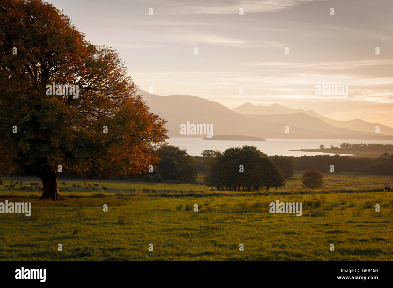 Ireland sunny Irish landscape picturesque view of the Macgillycuddy's ...
