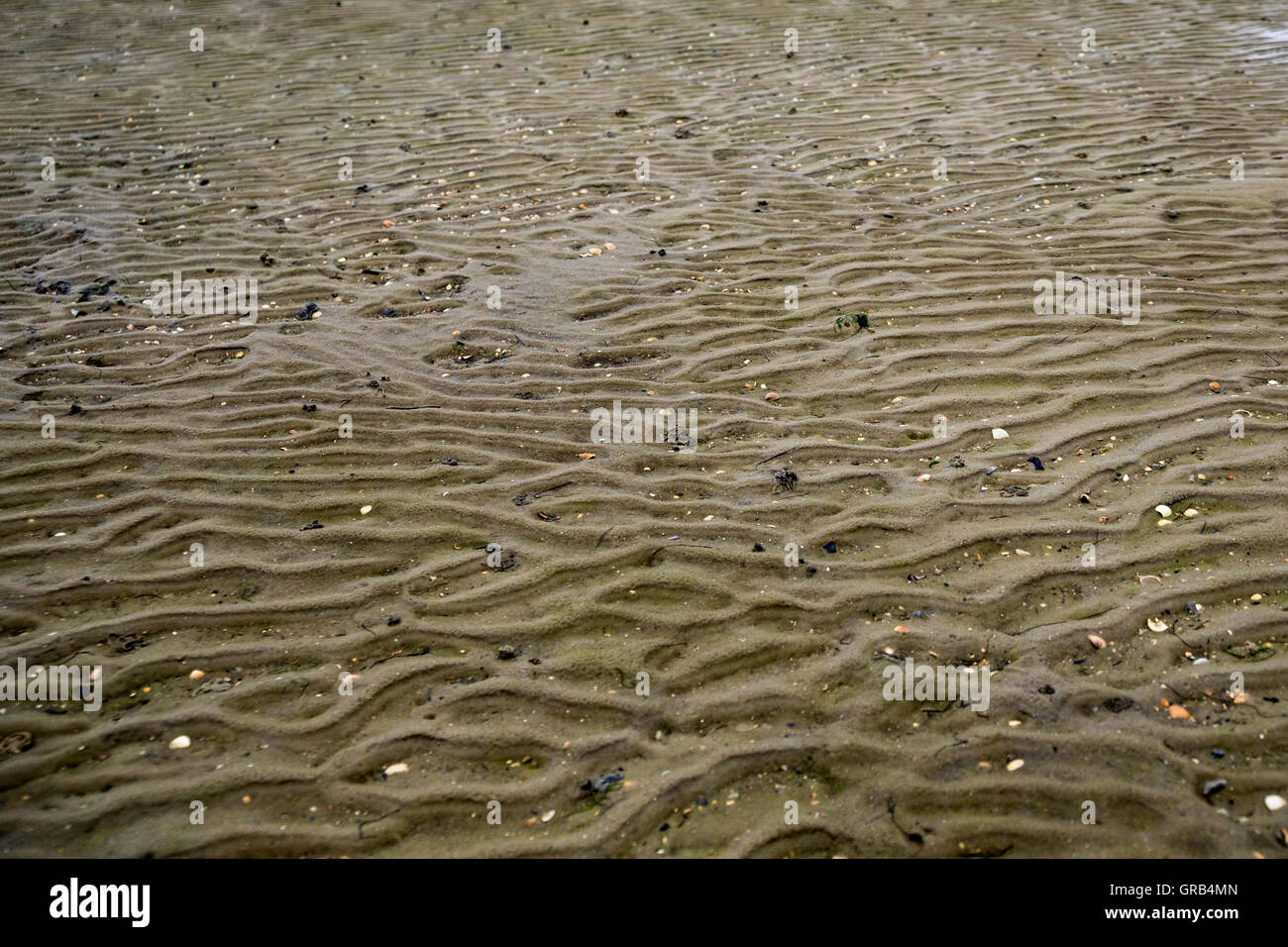 Watt sand hi-res stock photography and images - Alamy
