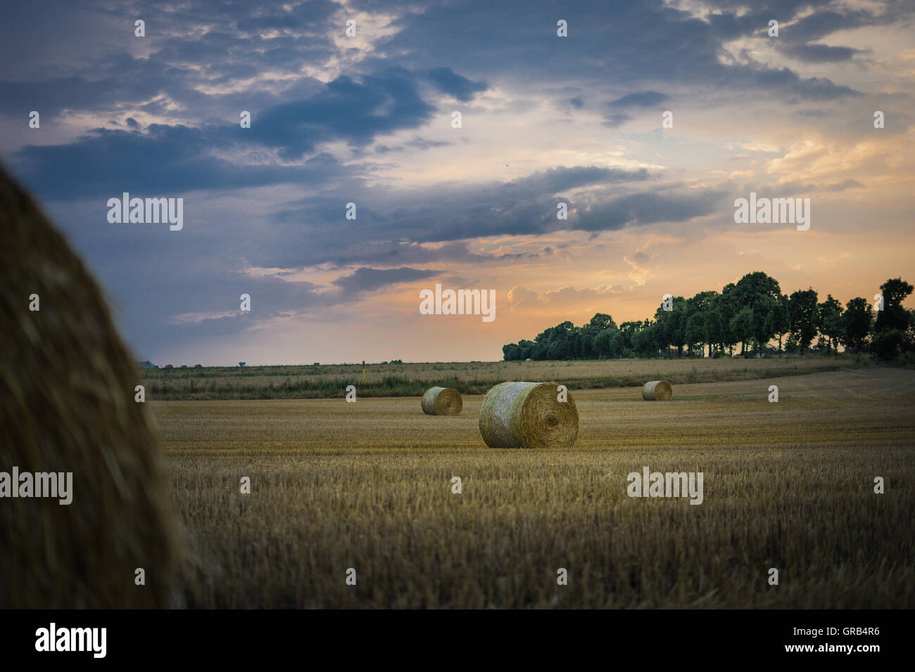 Strow field hi-res stock photography and images - Alamy