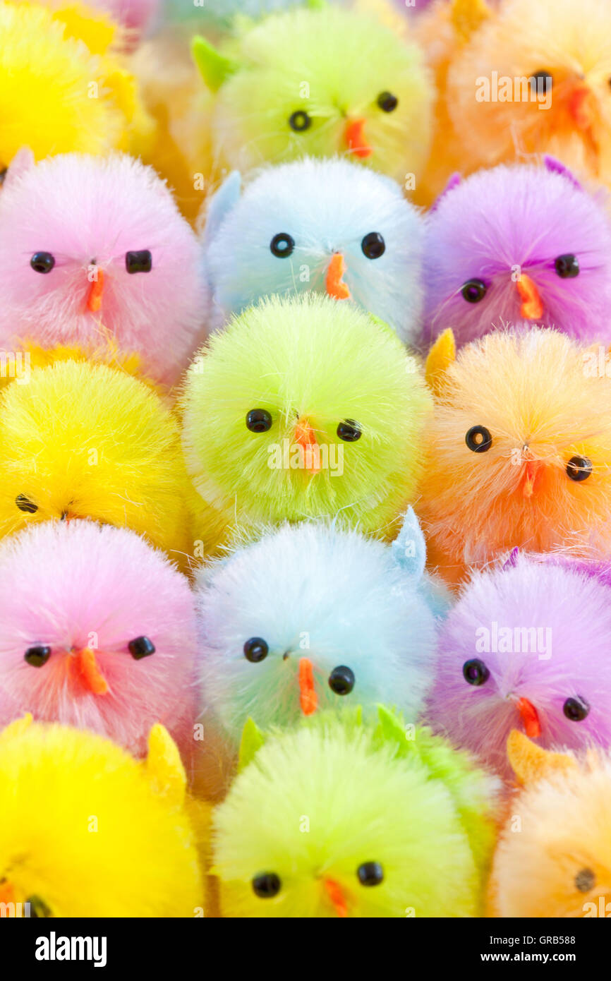Colorful Easter Chicks Stock Photo - Alamy