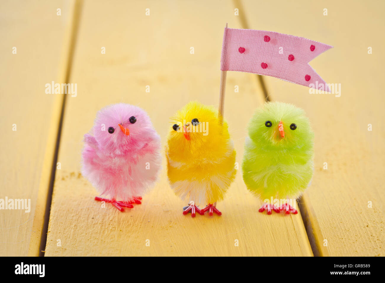 Colorful Easter Chicks Stock Photo - Alamy