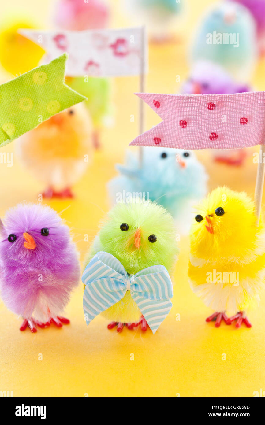 Colorful Easter Chicks Stock Photo - Alamy