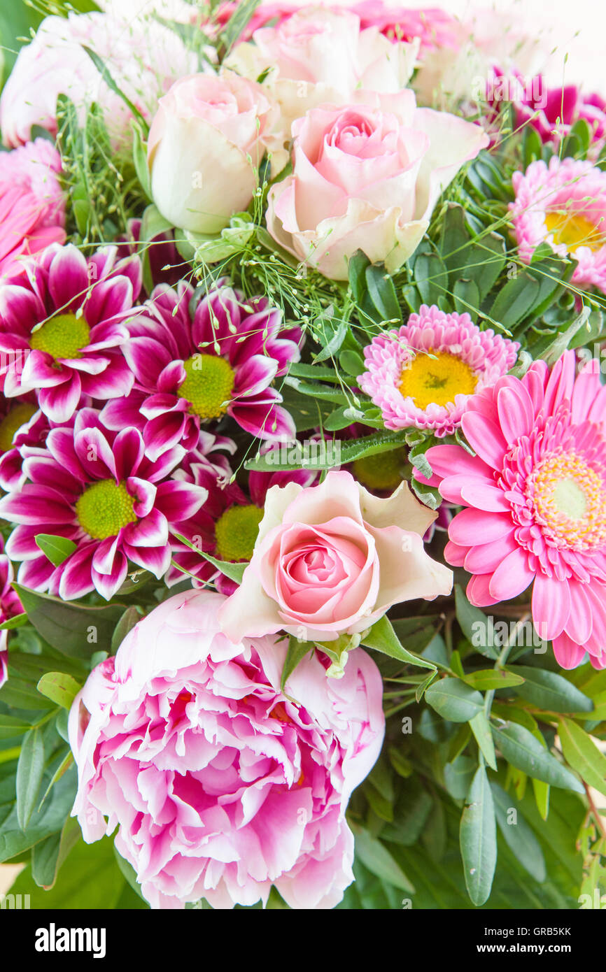 Colorful Spring Flowers Stock Photo - Alamy
