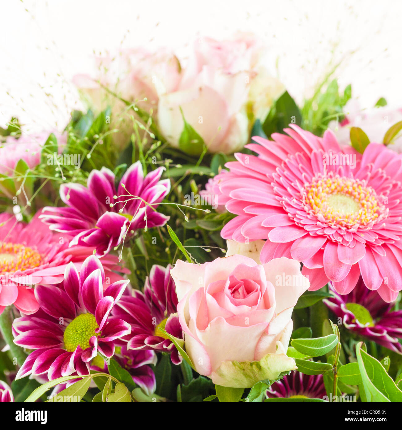Colorful Spring Flowers Stock Photo - Alamy