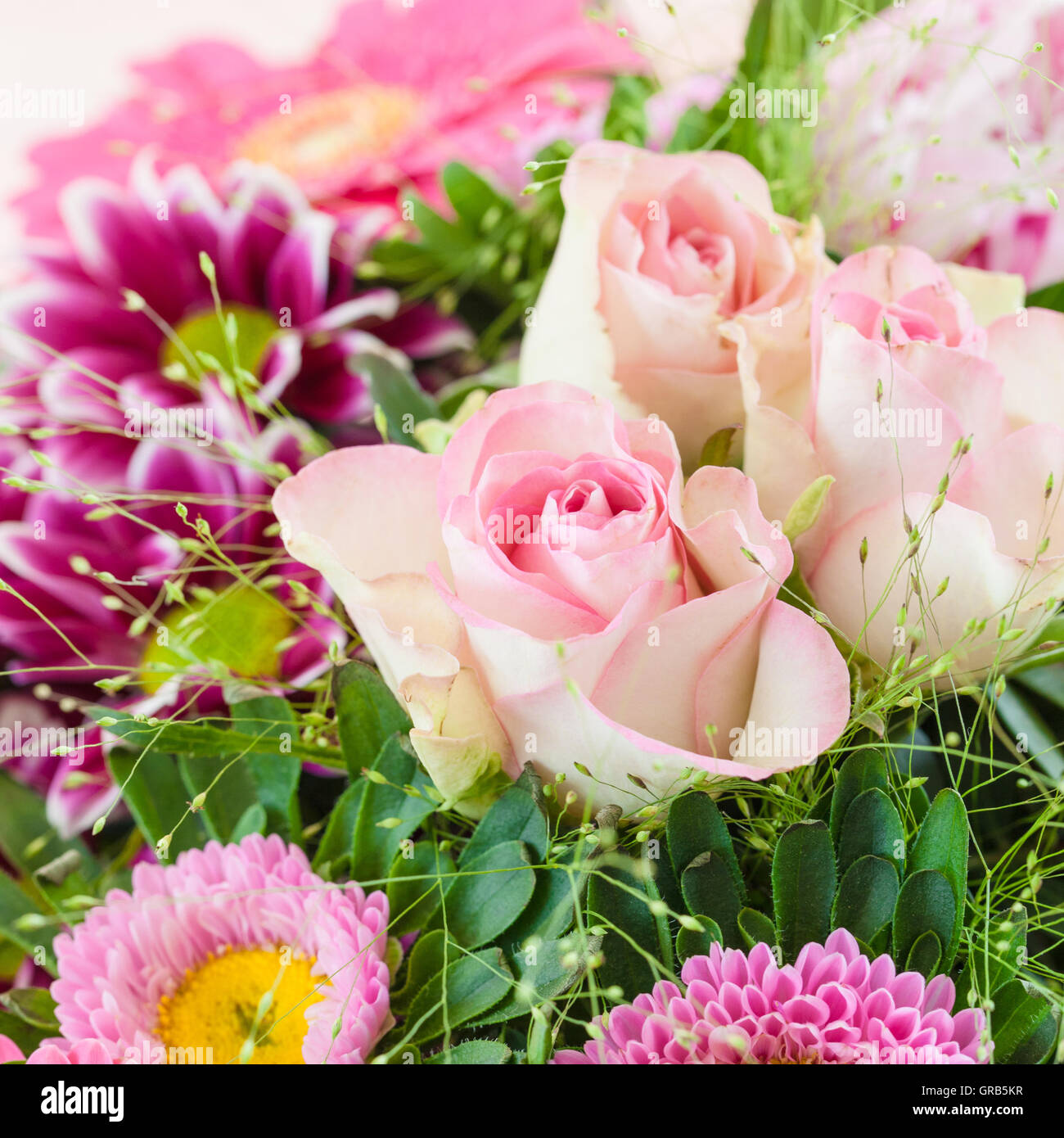 Colorful Spring Flowers Stock Photo - Alamy