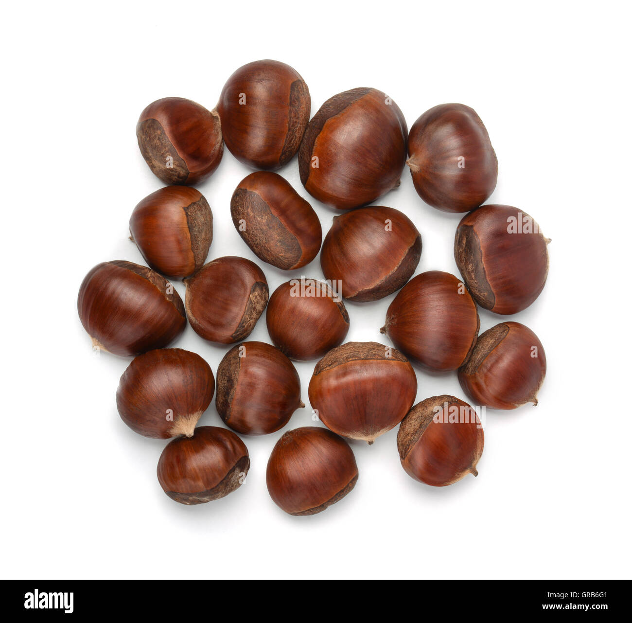 White background flora Cut Out Stock Images & Pictures - Alamy