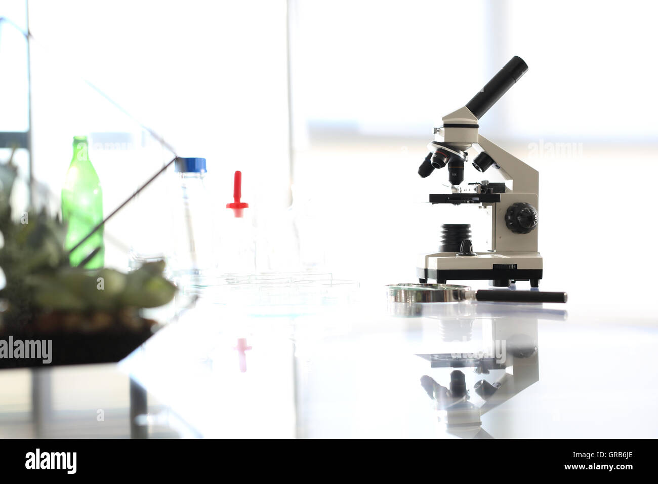 Laboratory biotechnology, microscope Stock Photo - Alamy