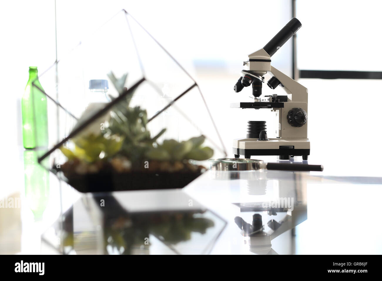 Laboratory biotechnology, microscope Stock Photo - Alamy