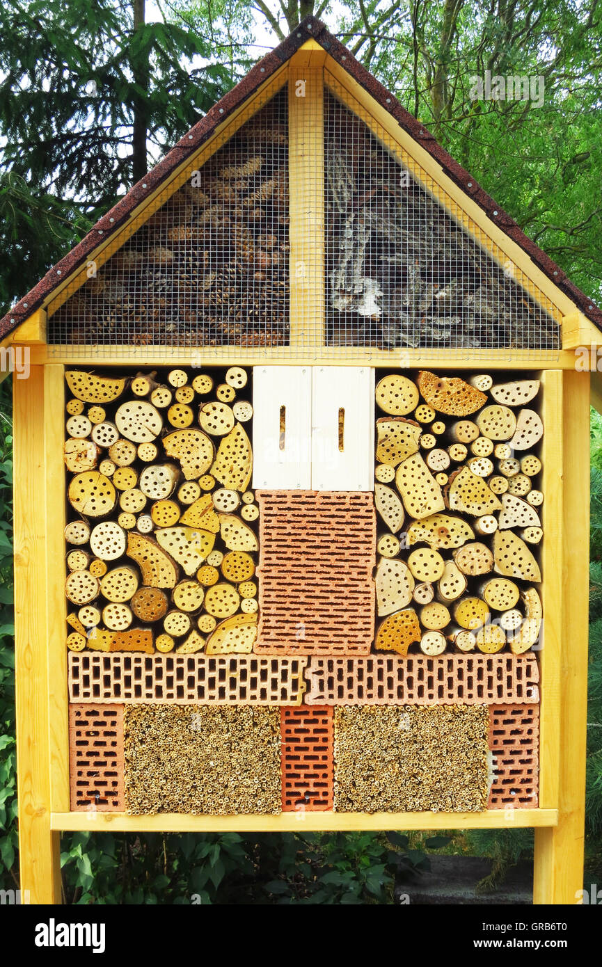 Insect hotel in nature hi-res stock photography and images - Alamy