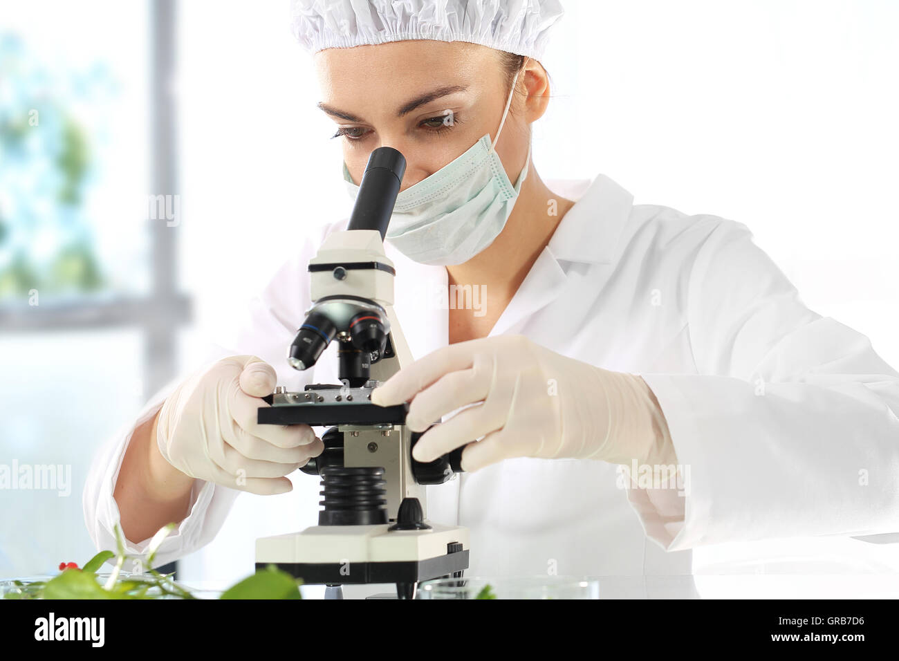 Biotechnologist examine samples of plant under microscope Stock Photo ...