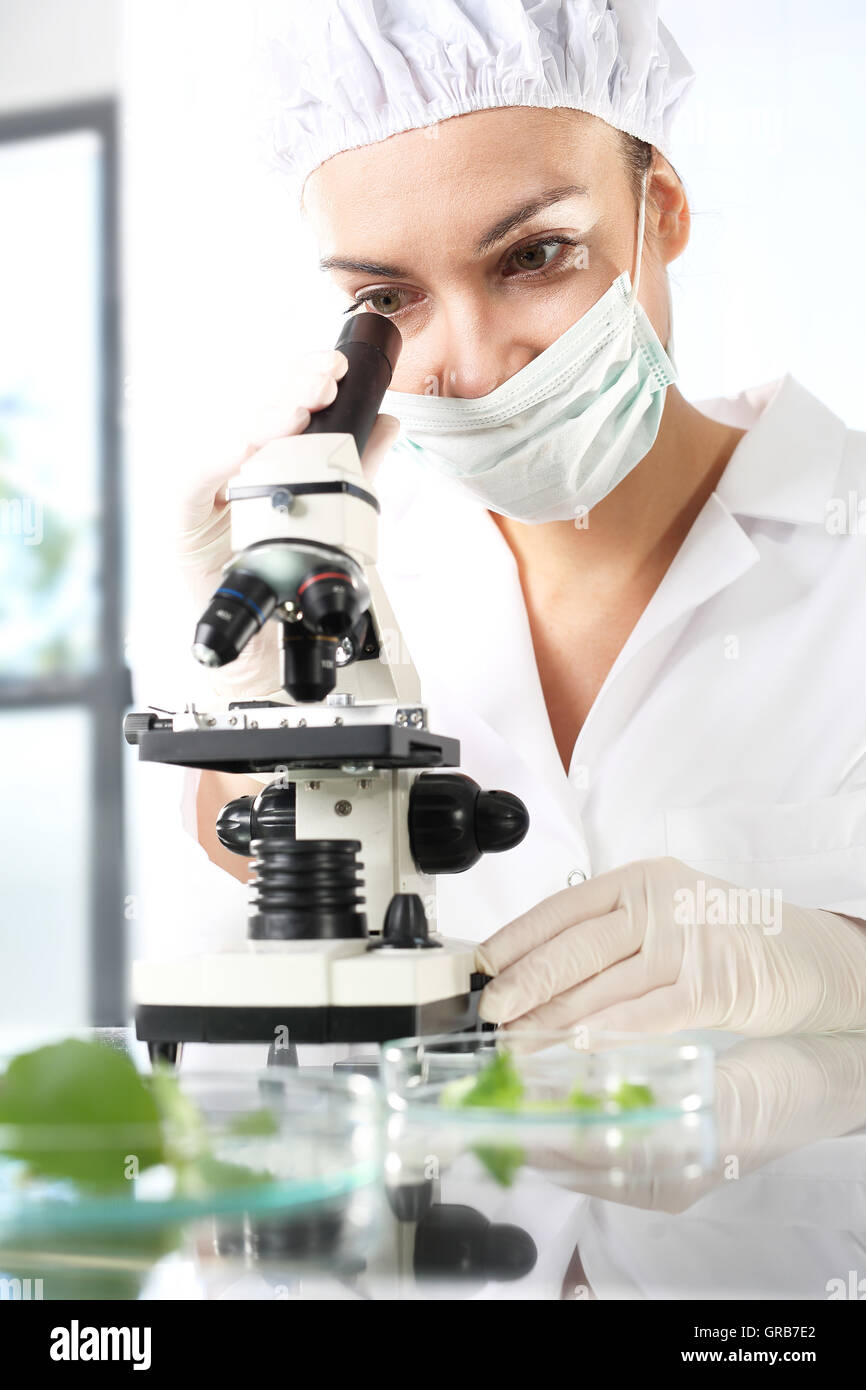 Biotechnology and genetic engineering Stock Photo - Alamy