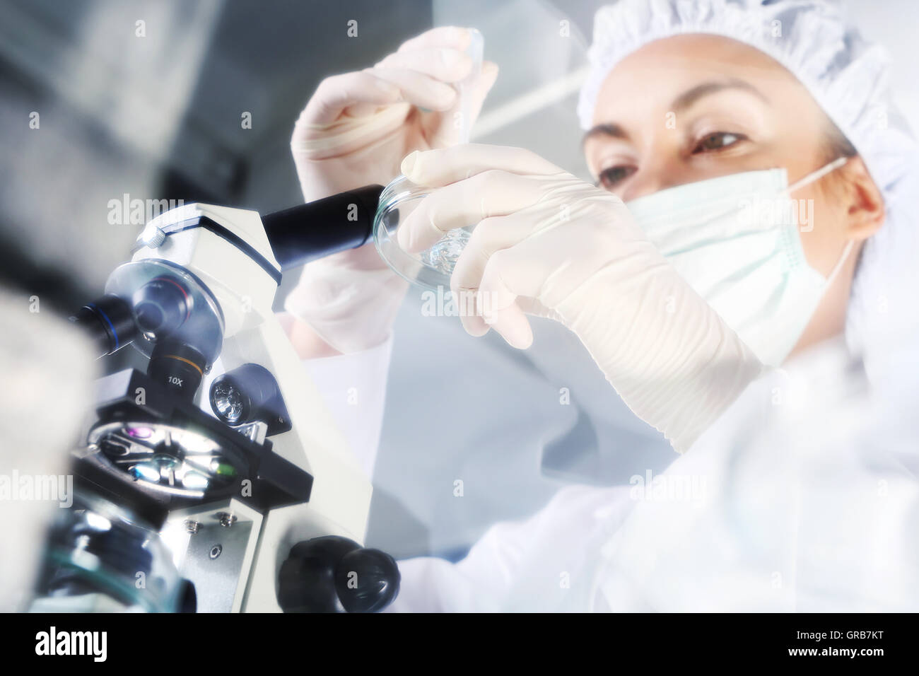 Chemist examine the sample under a microscope Stock Photo - Alamy