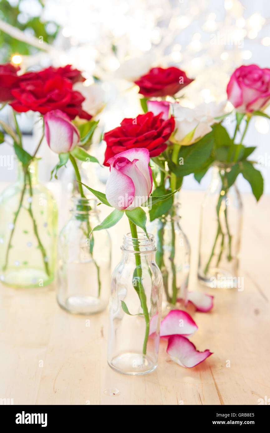 Red And Pink Roses Stock Photo - Alamy