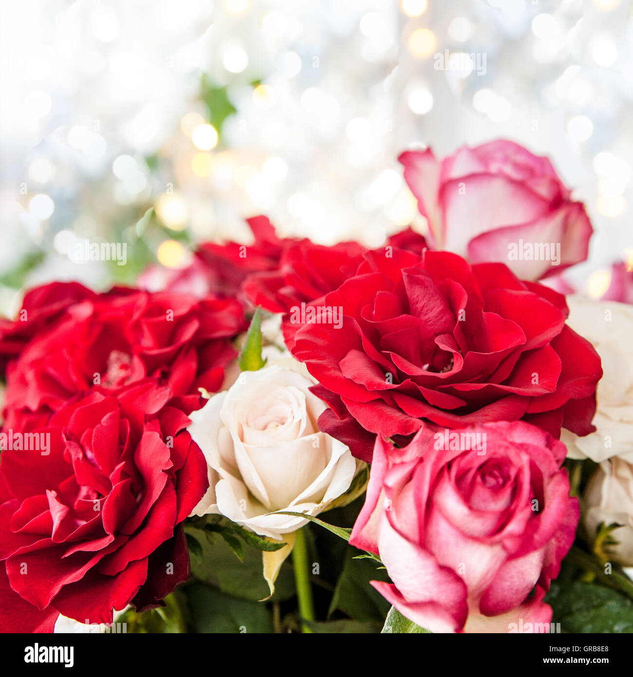 Red And Pink Roses Stock Photo - Alamy