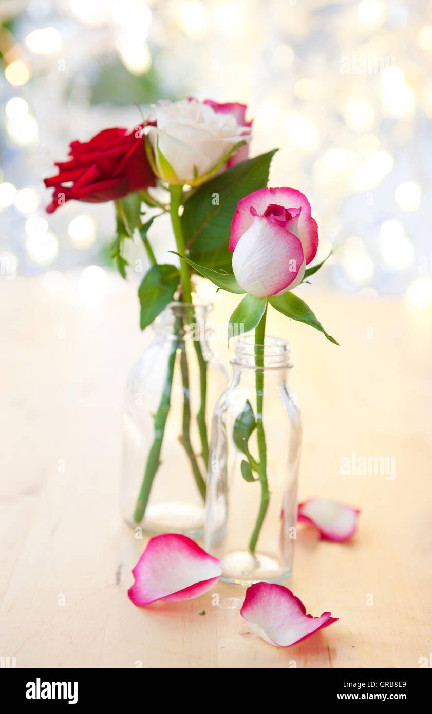 Red And Pink Roses Stock Photo - Alamy
