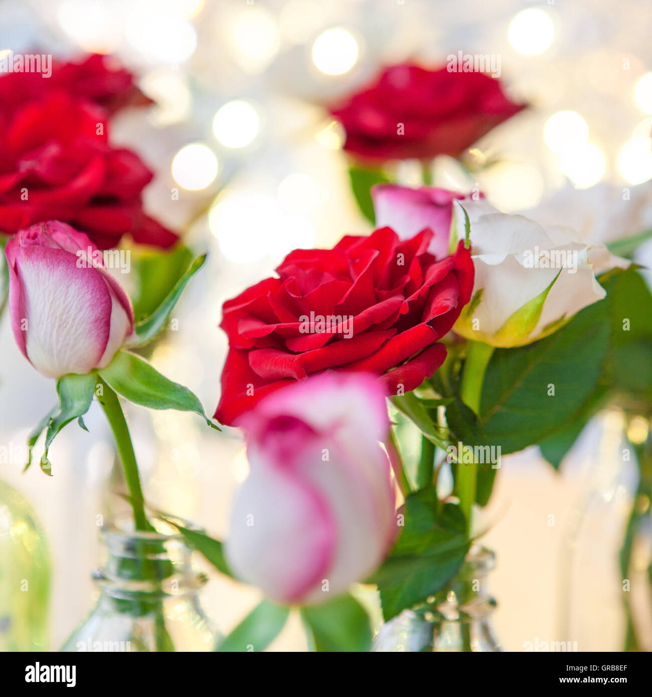 Red And Pink Roses Stock Photo - Alamy