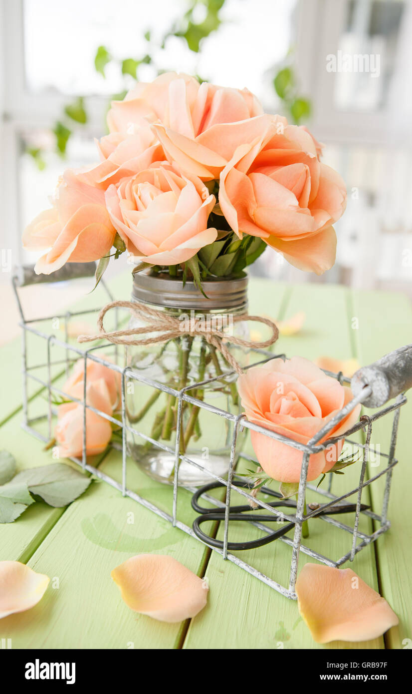 Peach Colored Roses Stock Photo - Alamy